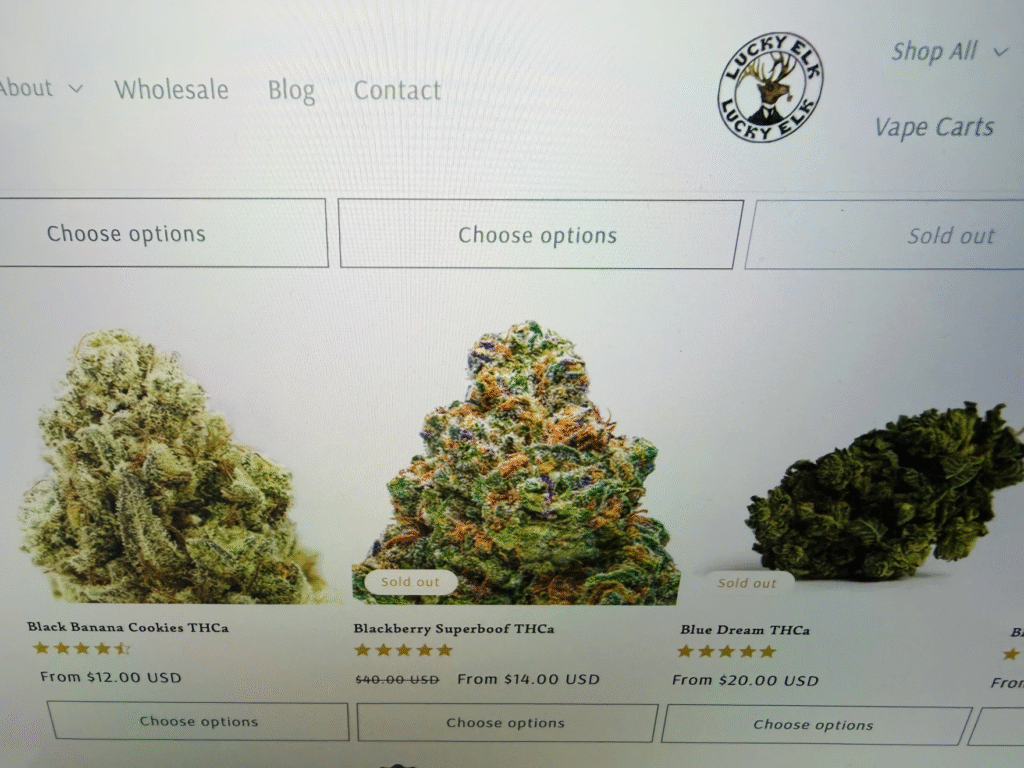 CHAMPS Smoke Shop Report